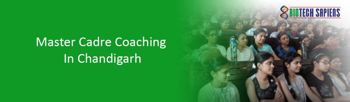 Master Cadre Coaching In Chandigarh
